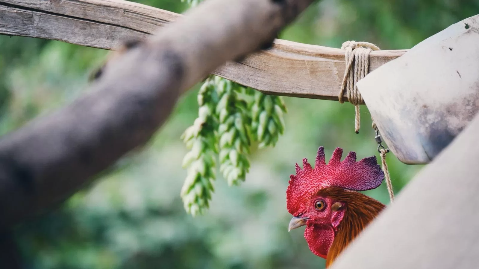 What Is Laceration Repair: Overview, Benefits, And Expected Results ...